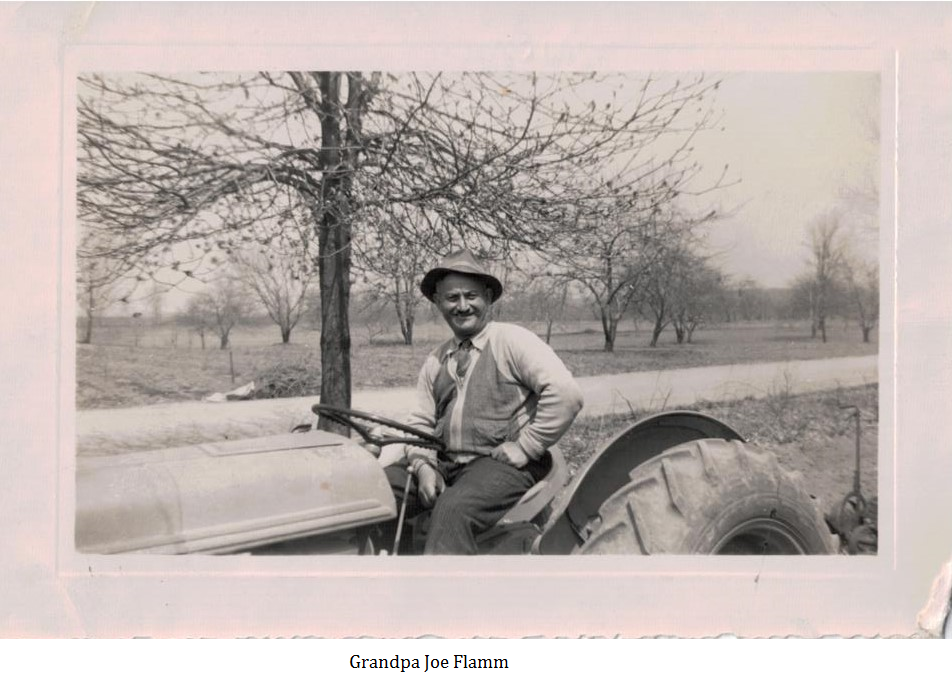 Our Story: A Relishing Start - Flamm Pickle and Packing Co., Inc.